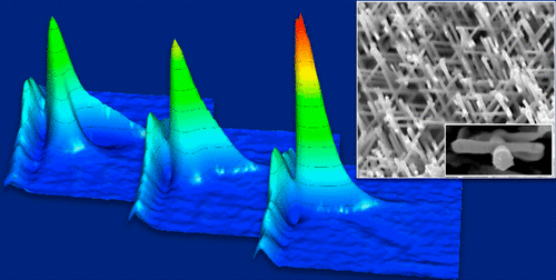 3D Nanomagnetism Explored in Low Density Interconnected Nanowire ...