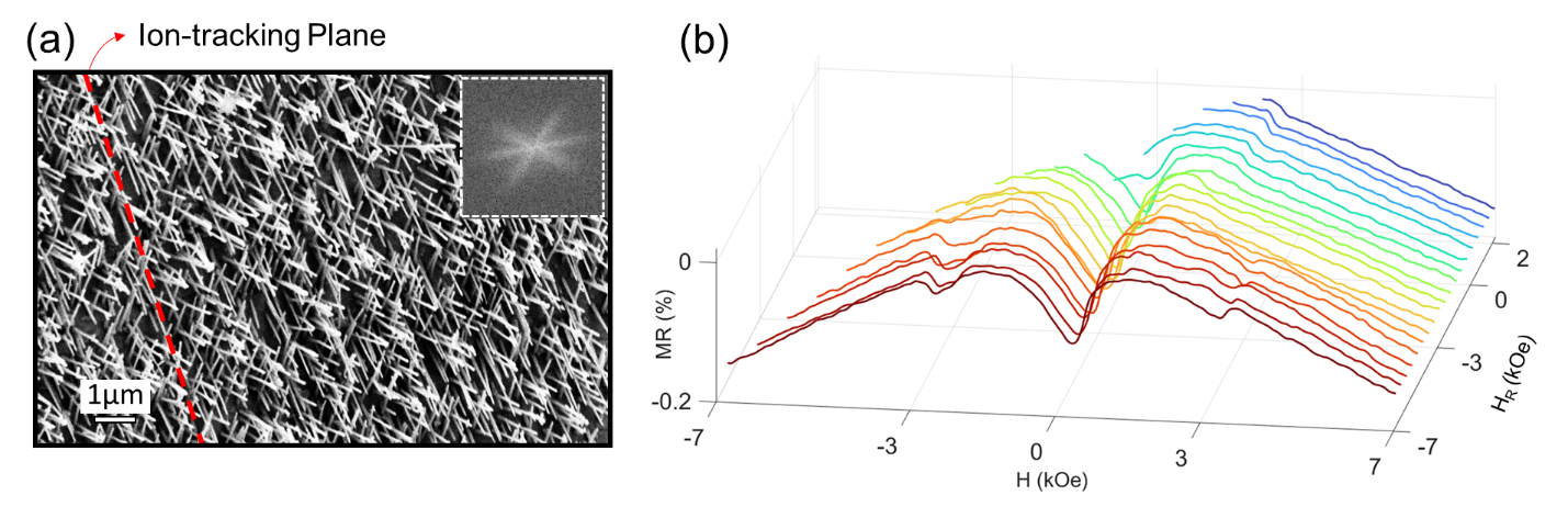 3D nanomagnetism: there is plenty of room at the top | Department of ...